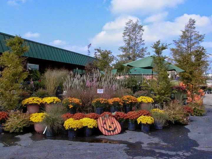 Waynesboro Garden Center | Visit Waynesboro - Where Good Nature Comes ...